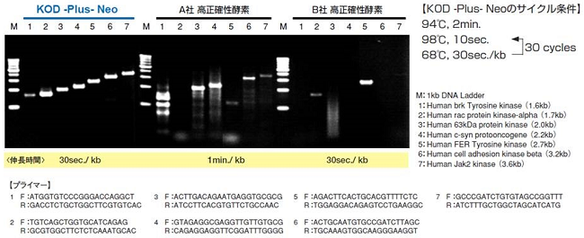 東洋紡バイオテクサポート事業部 / 高正確・高効率・高速PCR酵素 KOD -Plus- Neo